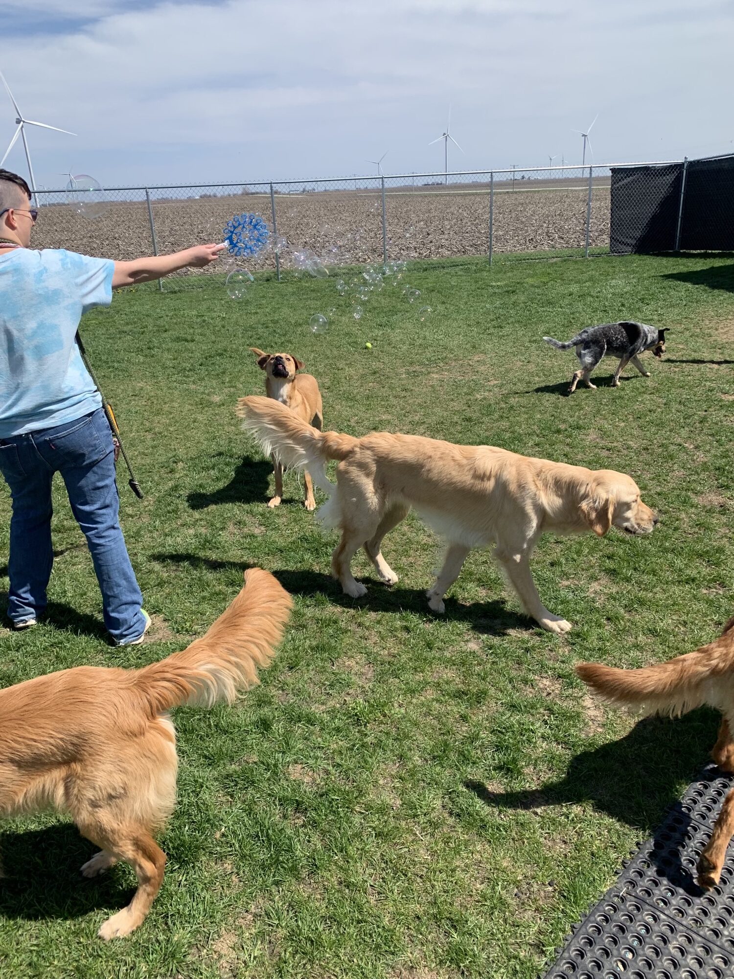 Join the POH Team - Peace of Heaven Pet Care